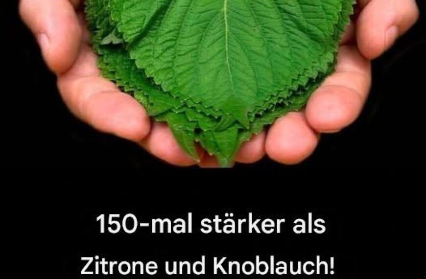 150-mal stärker als Zitrone und Knoblauch! - Welt Rezept